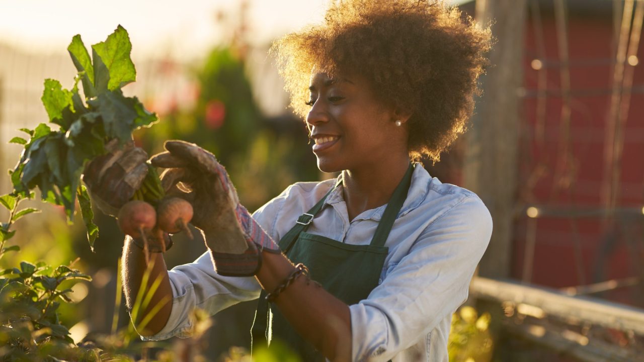 Home - Christian Landscaping Association
